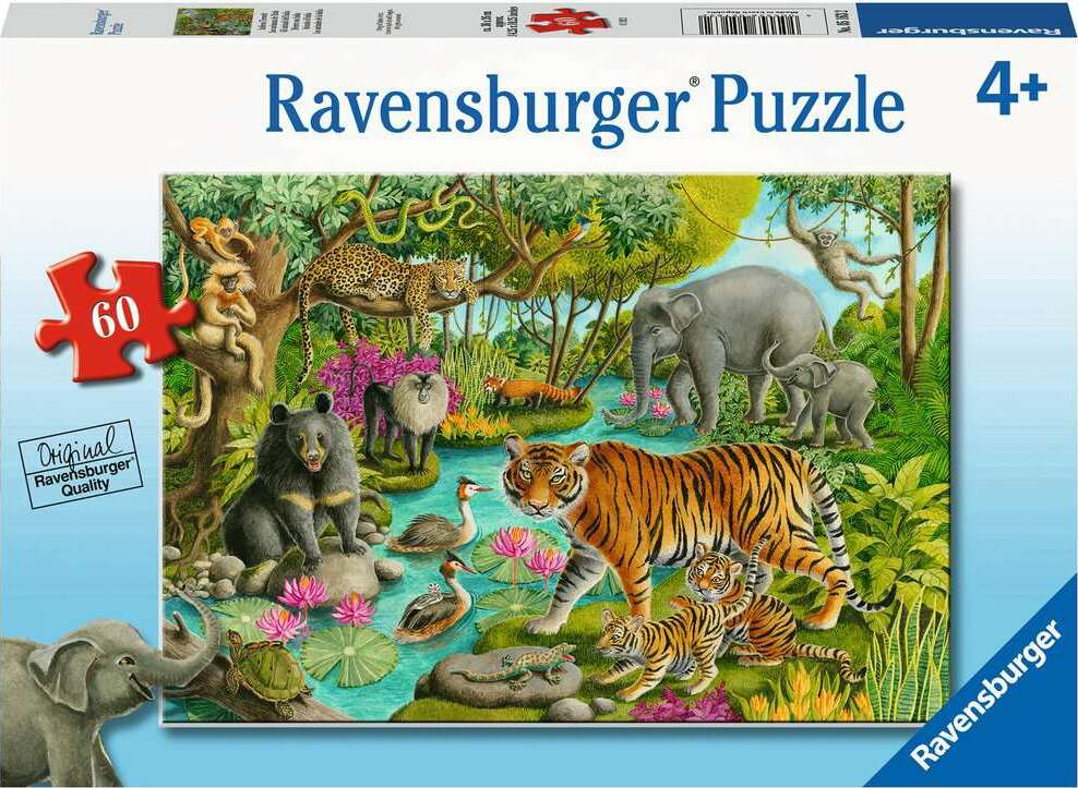 60pc Animals of India – Granville Island Toy Company