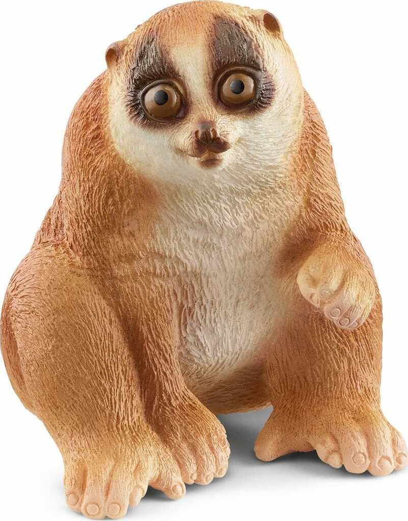 Slow Loris (PLAN) – Granville Island Toy Company